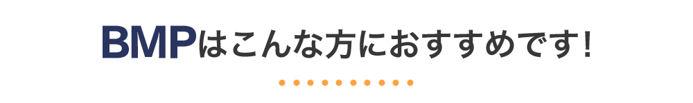 BMP -Break Marketing Program-