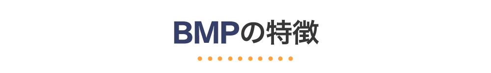 BMP -Break Marketing Program-