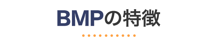 BMP -Break Marketing Program-